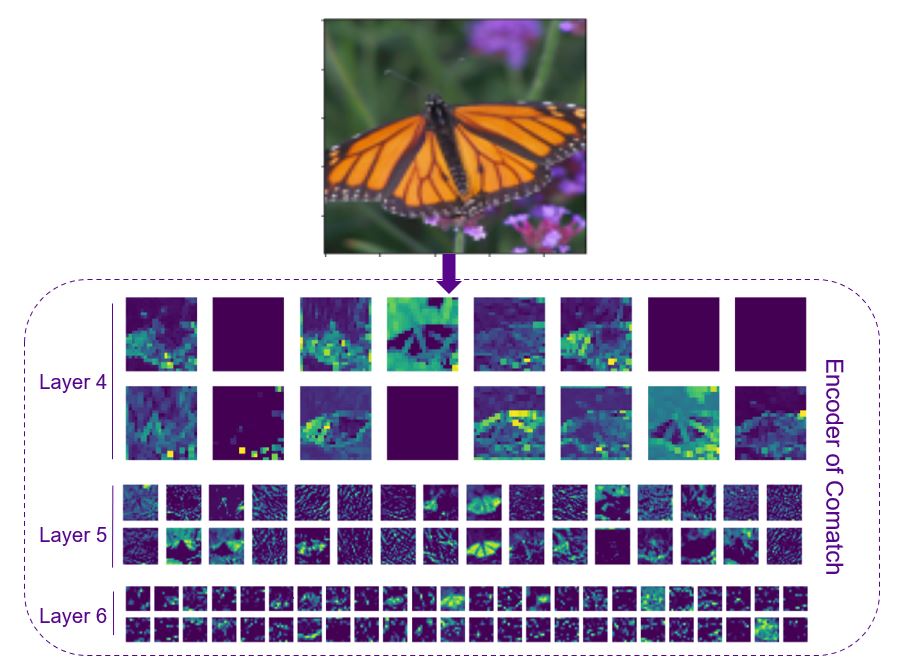 Self/Semi-Supervised Image Classification | Academic
